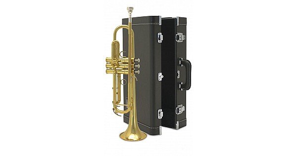 Jual Yamaha YTR 6335 Bb Professional Trumpet, Gold lacquer ...