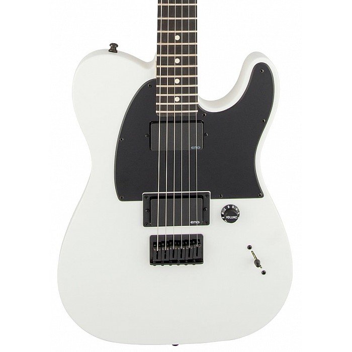 Jual Fender Artist Jim Root Telecaster Guitar, Ebony Neck,